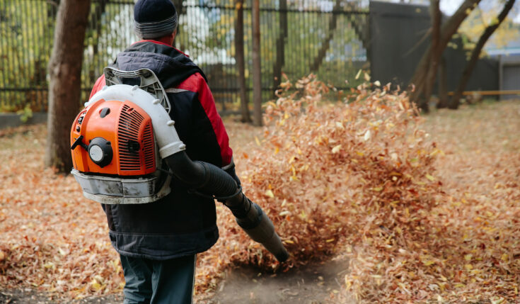 How To Use A Leaf Blower: 11 Tips and Tricks - DIY All Day