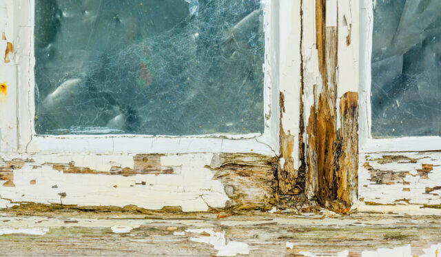 6 Reasons Why Your Window Frames Are Rotting - DIY All Day