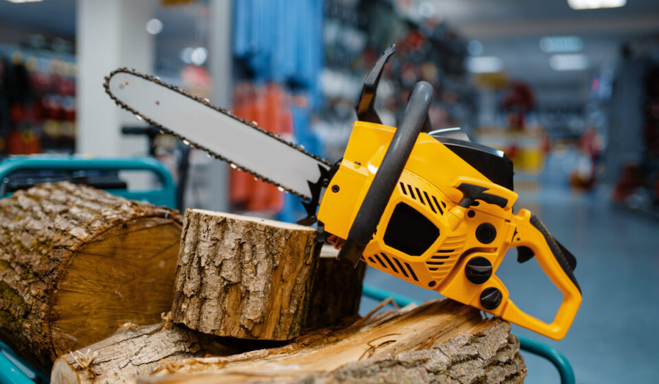 15 Types of Saws - DIY All Day